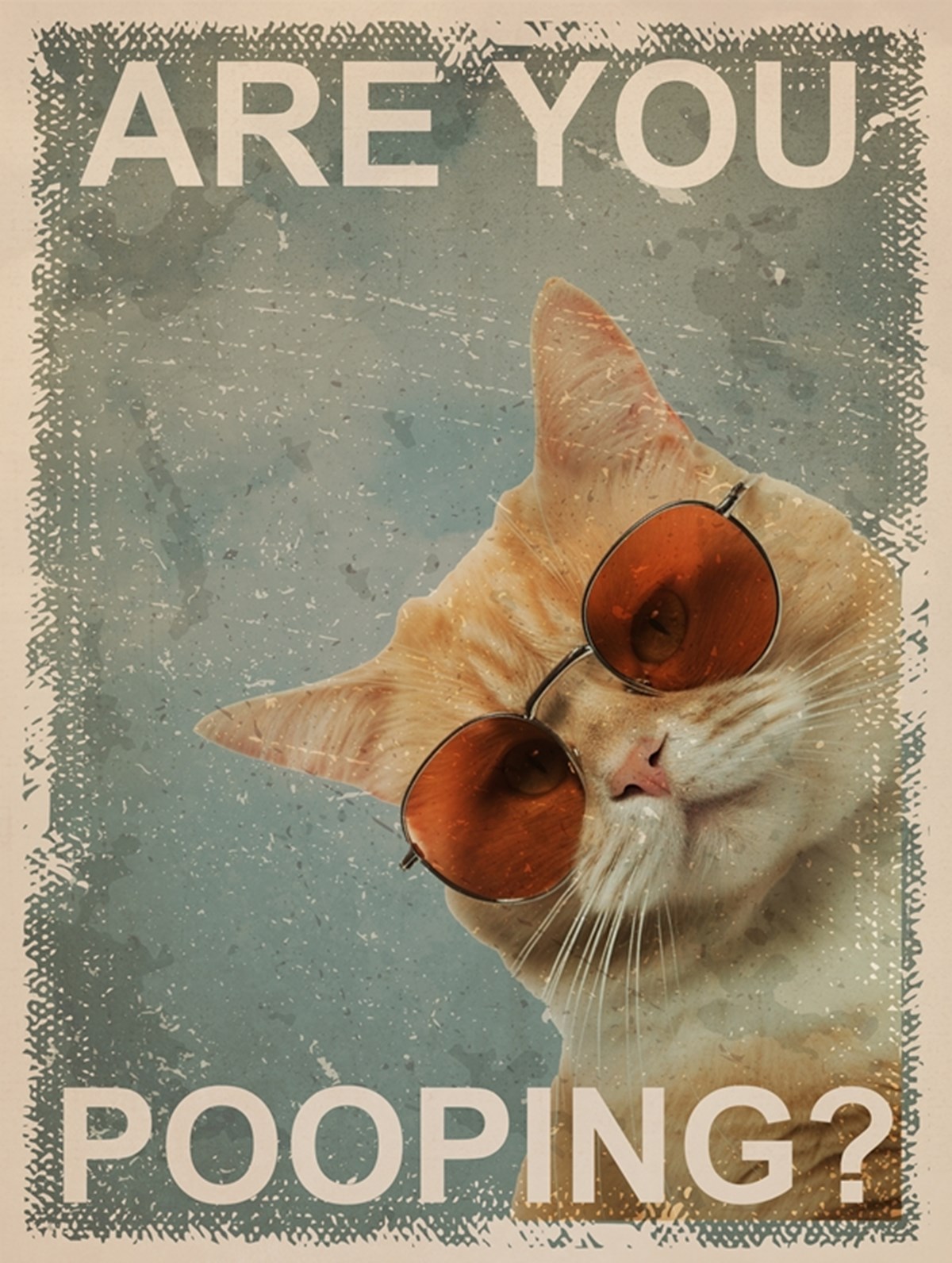 Are You Pooping? / 3 posters & prints by Catalin Gheorghe Tudor - Printler