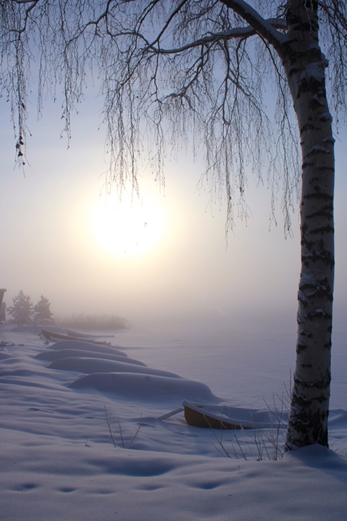 Cold wintry day posters & prints by Janne Lankinen - Printler