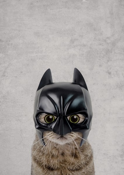 BATCAT Poster von ° JENNI TERVAHAUTA ° | Printler