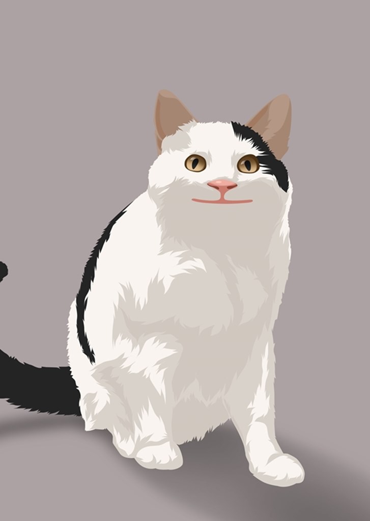 Polite Cat Meme' Poster By Mccallharrison399158 Displate Polite Cat Meme' Poster By Mccallharrison399158 Displate