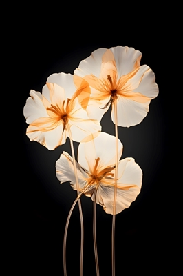 Kräuseln Poster von Jonas Rydberg | Printler