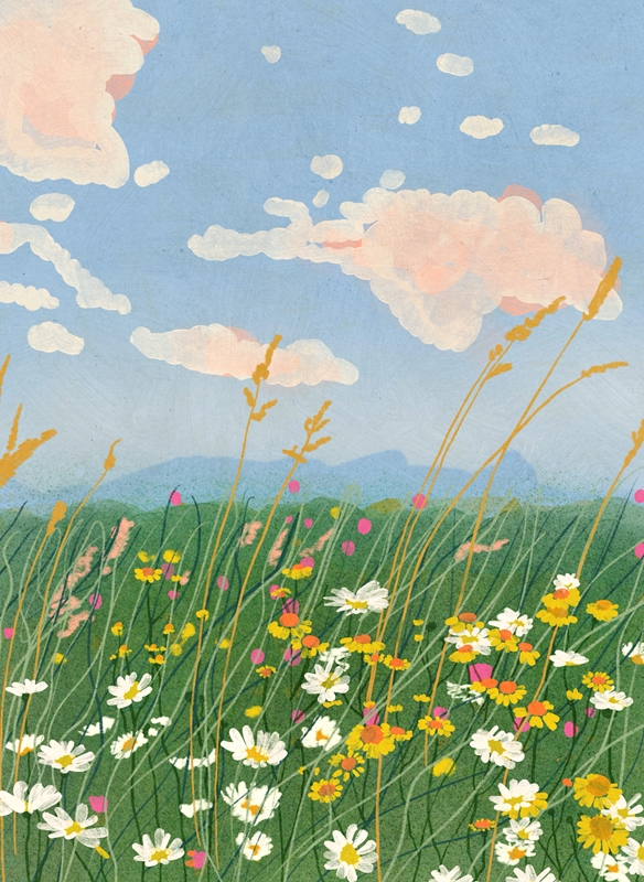 Meadow posters & prints by Gigi Rosado - Printler