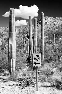 One Way posters & prints by Philippe HUGONNARD - Printler