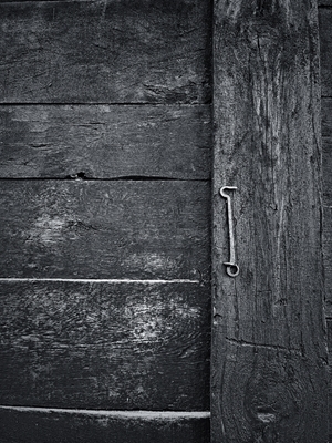 New Tar on Timber Wall posters & prints by Sara Bergqvist - Printler