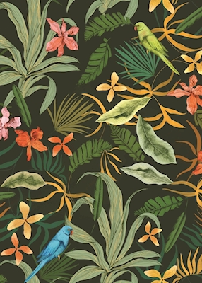 Oiseaux tropicaux affiches et impressions par Justyna Caputa by The ...