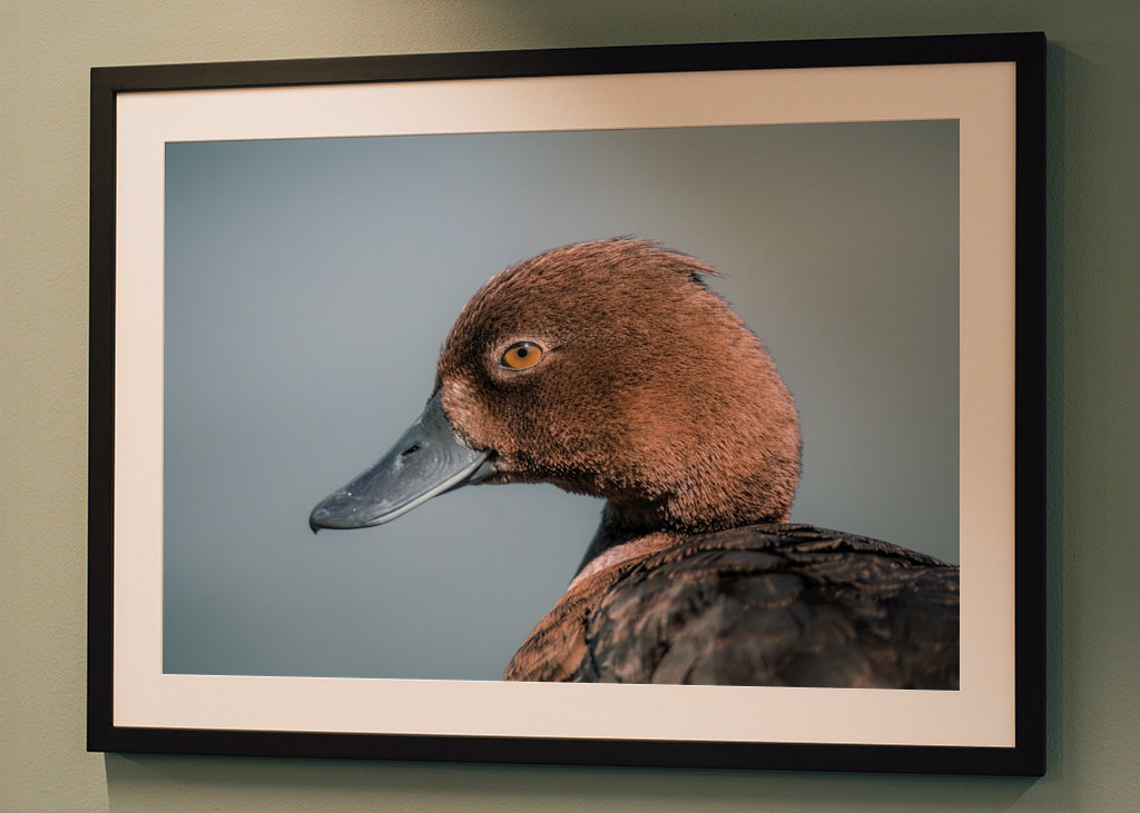 Vigg | Poster von Niklas Grenliden | Printler