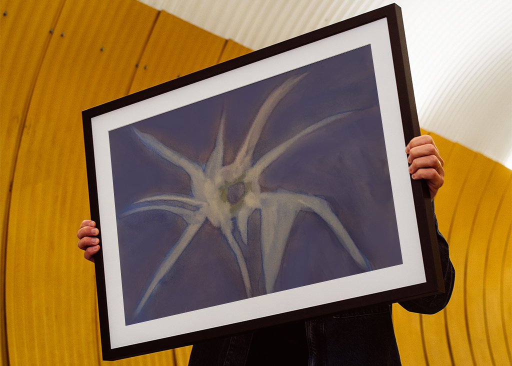 Magischer Magnet Poster von Alwin Ritzi | Printler