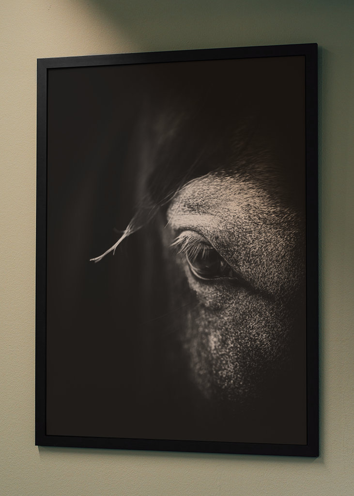 Das Auge Poster von Sebastian Frick | Printler