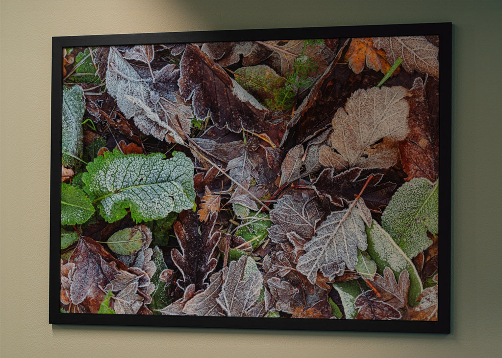 Nach einem kalten Morgen - Frost Poster von Kim Carlson | Printler