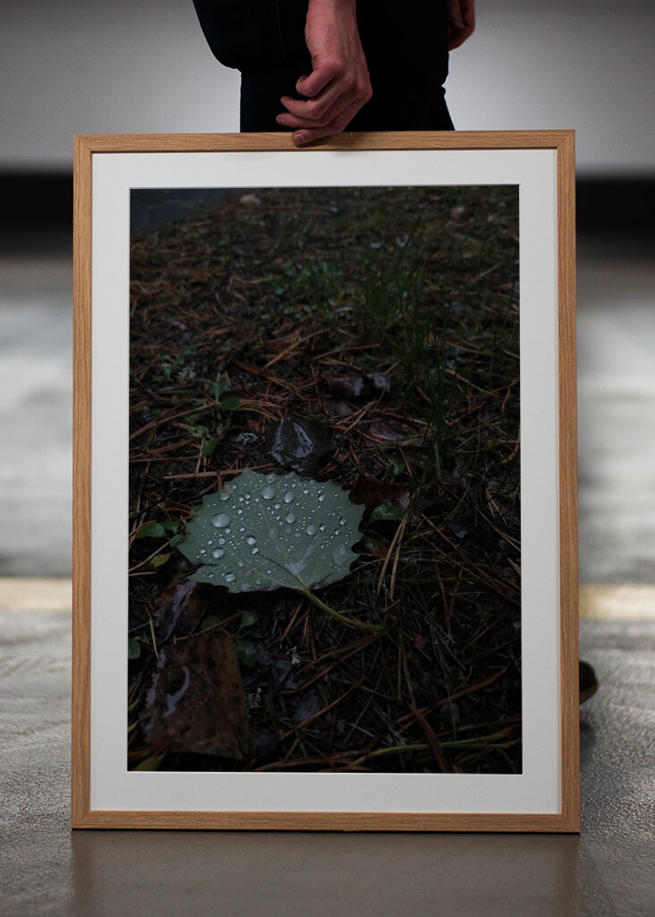 Tropfen auf die Oberseite des Blattes Poster von Eva Ryynänen | Printler