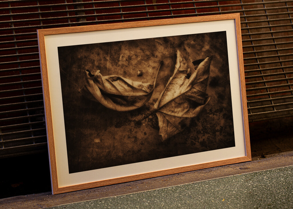 Whispers of Autumn: A Study in Decay posters & prints by Hermann Mock ...