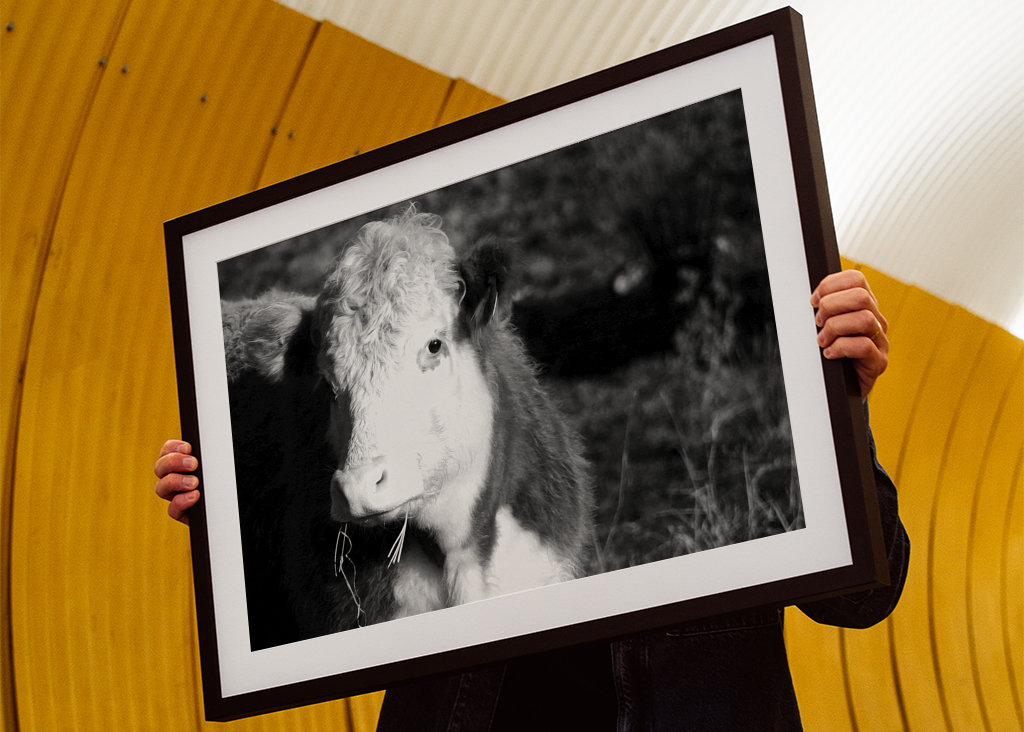 Kossa Mu Poster von Annika Adams | Printler