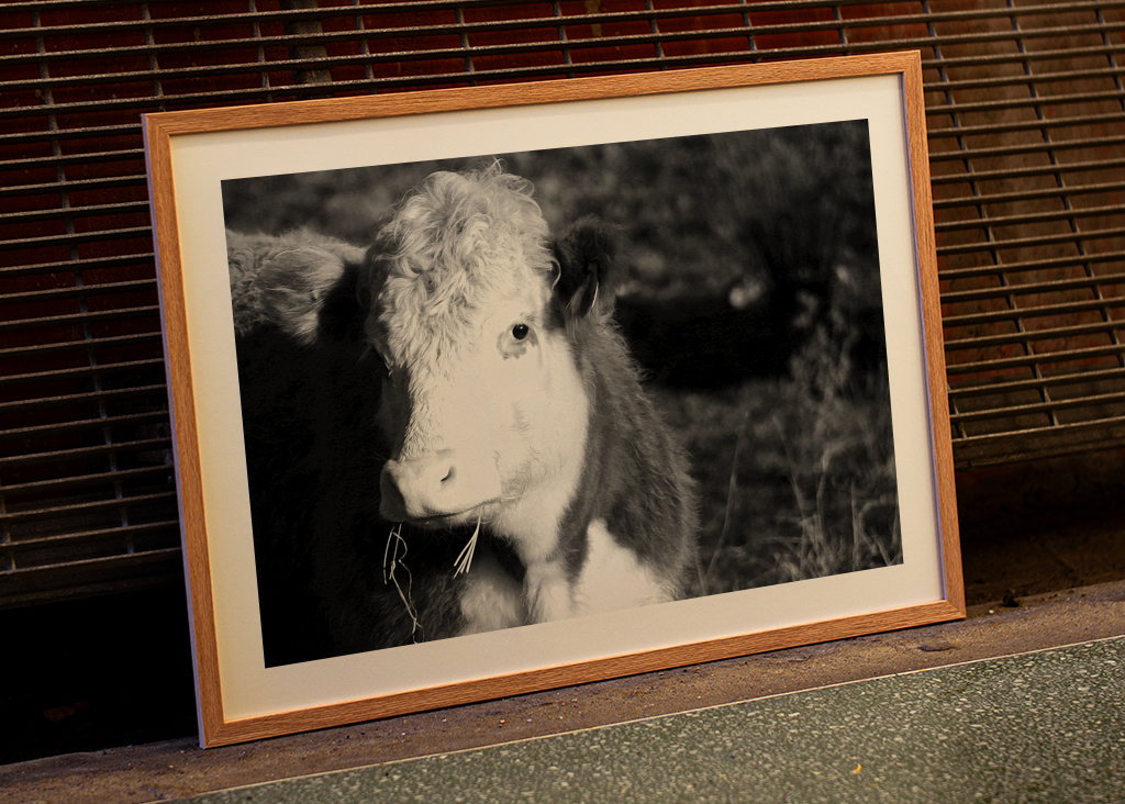 Kossa Mu Poster von Annika Adams | Printler