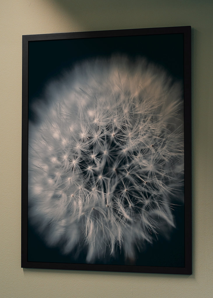 Die Maskros Poster von Sebastian Frick | Printler