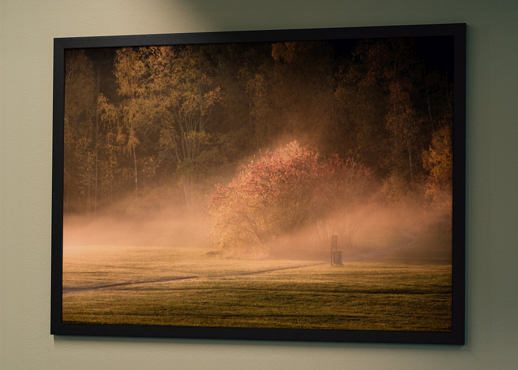 Autumn mist posters & prints by Henrik Viklund - Printler