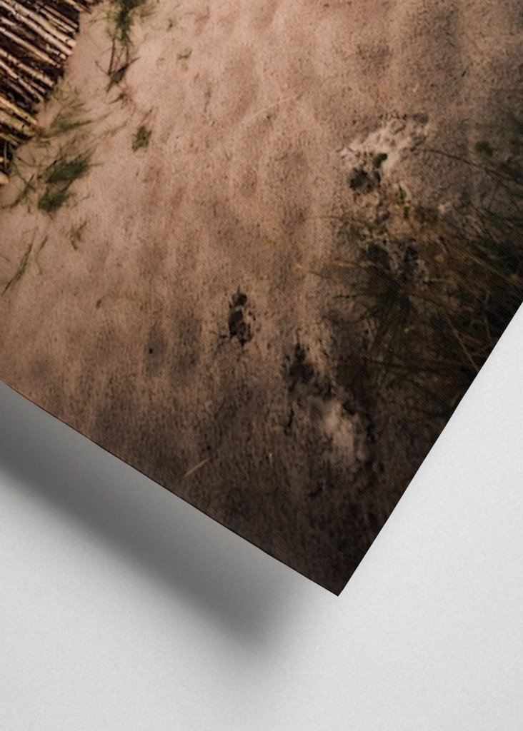 Baltic Sea I Poster von Katja Habermann | Printler