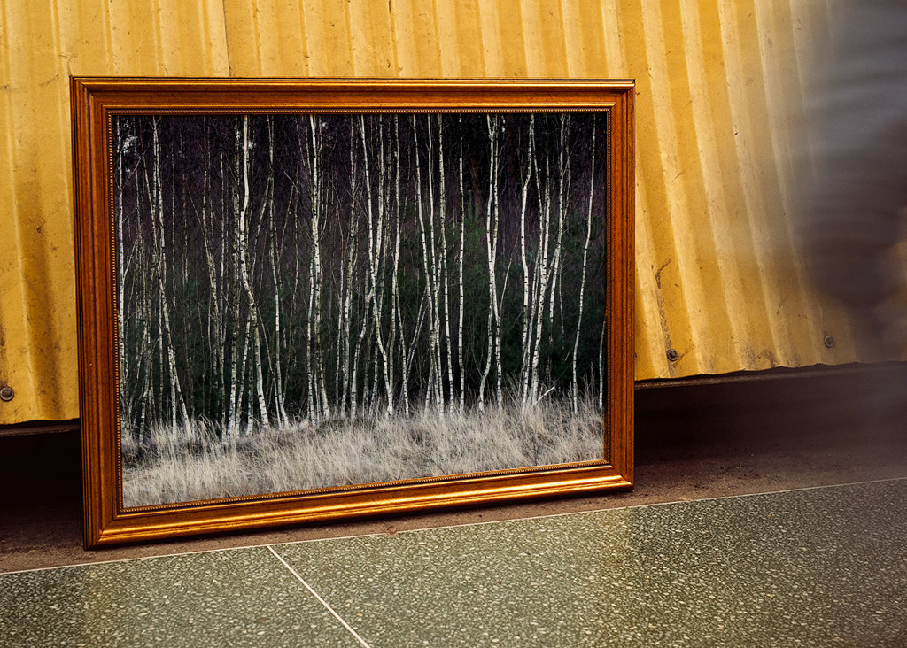 Birken Poster von Ralf K. Lang | Printler